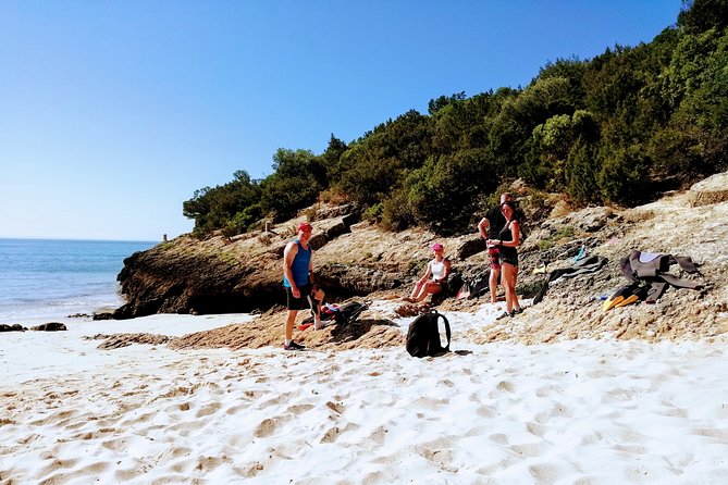 Arrábida Snorkeling Adventure With Transfer From Lisbon - Journey Through the Arrábida Mountains