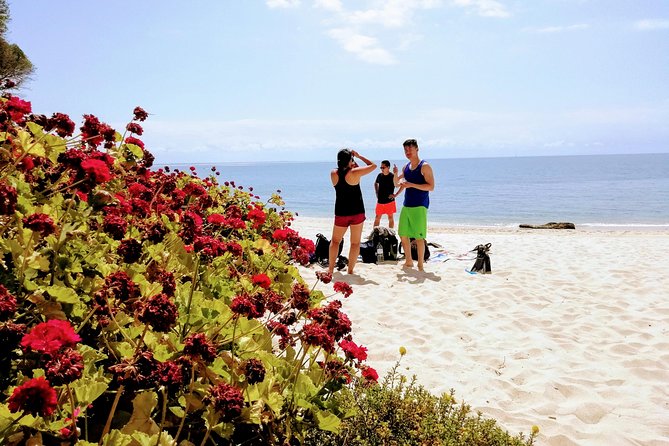 Arrábida Snorkeling Adventure With Transfer From Lisbon - Traveler Feedback and Why You Should Go