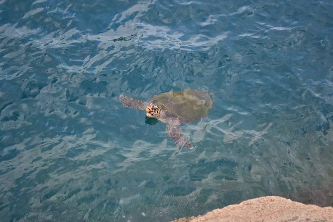 Arraial Do Cabo Tour From Rio De Janeiro - Key Points