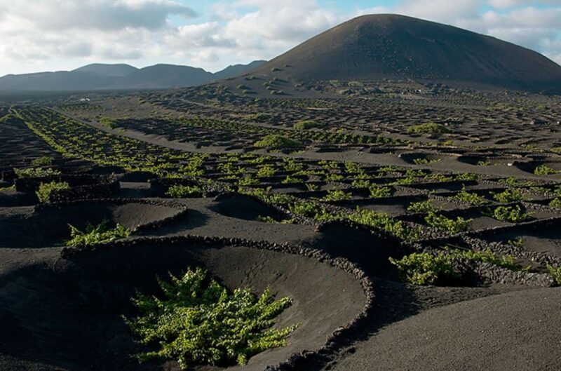 Arrecife/Playa Blanca: Timanfaya National Park Area Day Tour - Key Points