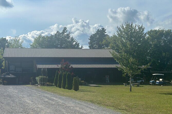 Arrington Wine and Franklin Dine Private Tour from Nashville - What to Expect and Why This Tour Stands Out