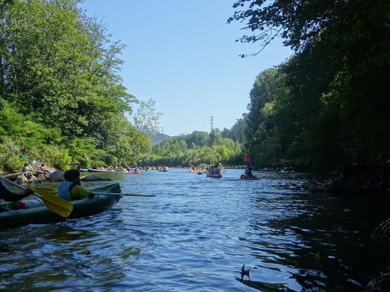 Arriondas: Canoeing Adventure Descent on the Sella River - Pricing and Value