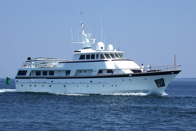 Arrival / Departure Private Transfer Heathrow Airport to Southampton Cruise Port - Accessibility and Luggage Policies