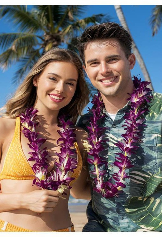 Arrival Lei Greeting --HNL to Waikiki Private Transfer - Who Is It Not For?