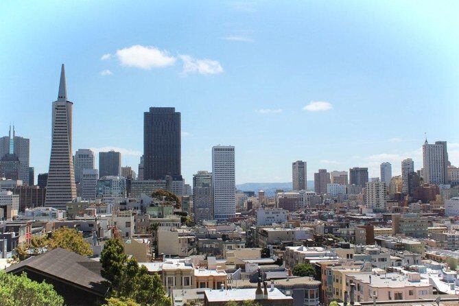 Arrival Private Transfer: Airport SFO to San Francisco in Luxury Van - Practical Notes and Insights