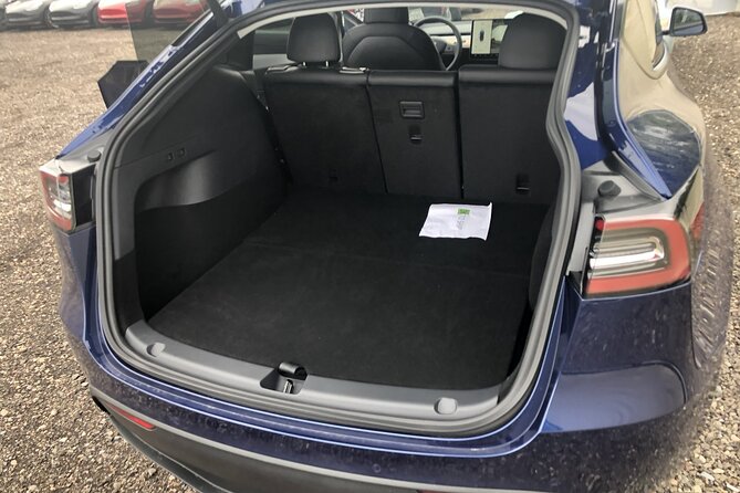 Arrival Private Transfer From Las Vegas Airport to Las Vegas by Electric Vehicle - Positive Customer Experiences