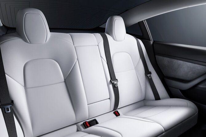 Arrival Private Transfer From Las Vegas Airport to Las Vegas by Electric Vehicle - Reasons to Choose This Service