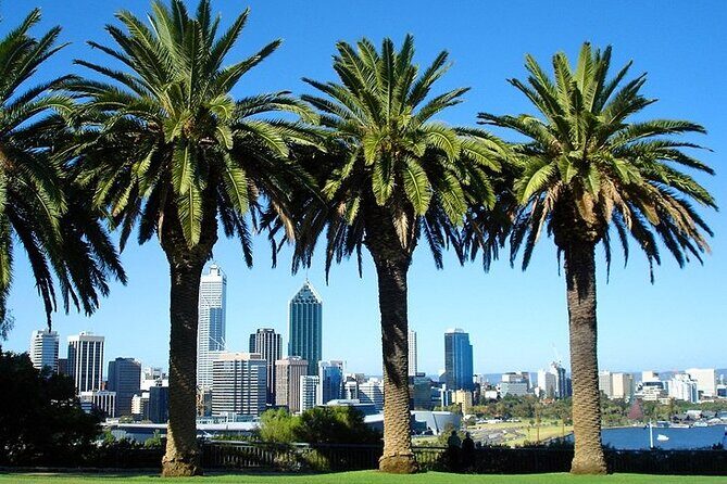 Arrival Private Transfer: Perth Airport PER to Perth City in Business Car - What Is This Transfer Service All About?