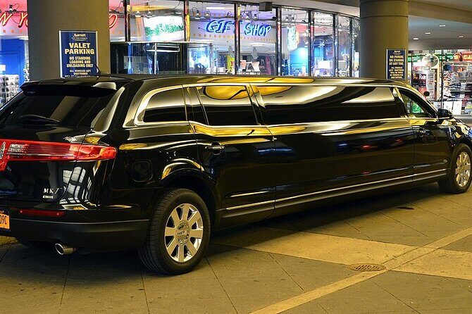 Arrival Private Transfer Port Canaveral to Orlando by Bus or Limo - Who Will Benefit Most?
