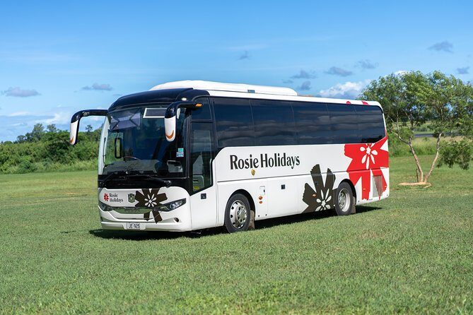 Arrival Shared Transfer : Airport to Hotel - Introduction