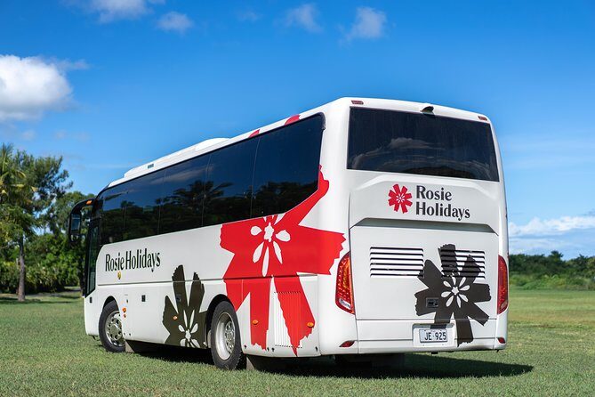 Arrival Shared Transfer : Airport to Hotel - The Cost and Value