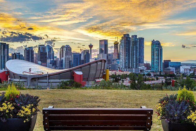 Arrival Transfer: Calgary Airport YYC to Calgary by Business Car - Vehicle and Comfort Features