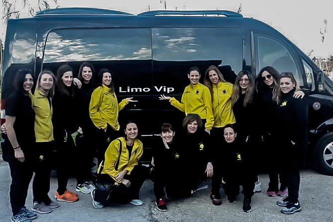 Arrival Transfer From Athens Airport to Athens City - Luggage Allowance and Accessibility