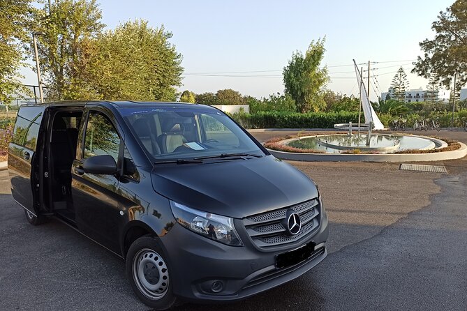 Arrival Transfer From Kos Airport - The Experience of Meeting and Greeting