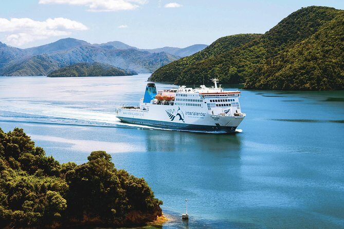 Arrival Transfer: Wellington Airport to Central Wellington City Centre Hotels - Why This Transfer Is a Good Deal