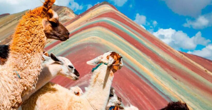 Arrive before the crowd to the Mountain in private service - Key Points