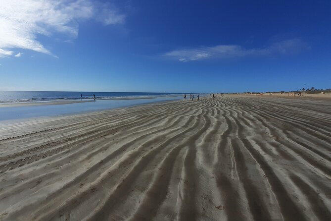 Arround Gran Canaria All Highlights Private Shore Excursion - Who Will Love This Tour?