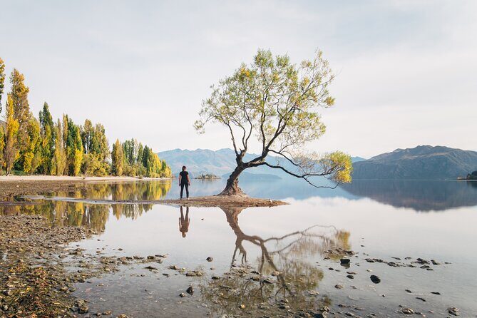 Arrowtown and Wanaka Highlights Tour from Queenstown - Introduction