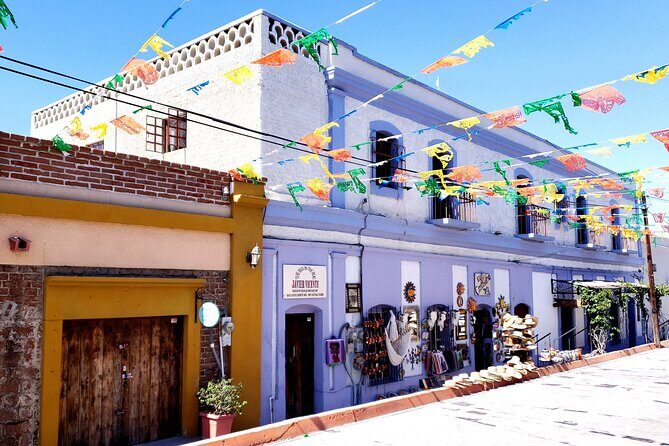 Art and Culture in Todos Santos - What Travelers Love and What to Consider
