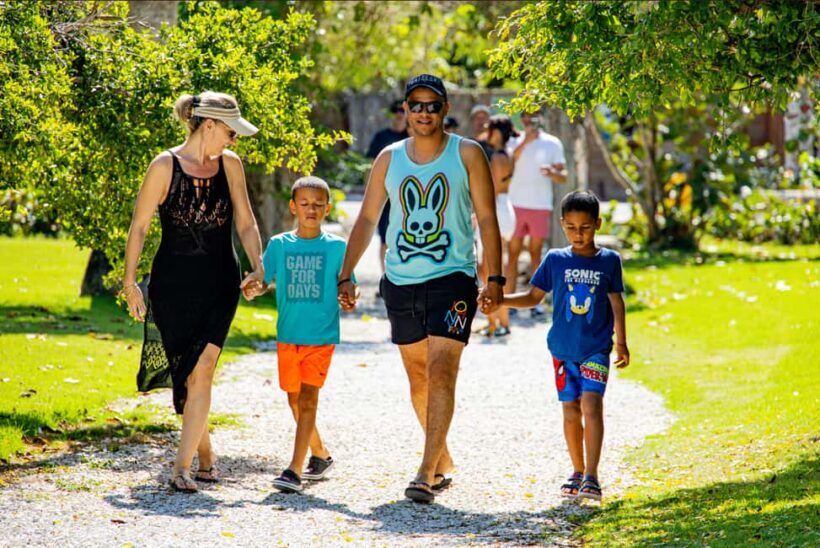 Art And Forest Way Half Day Tour - Key Points