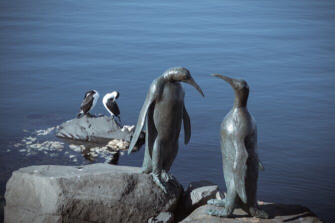 Art and History Trail Walking Tour in Tasmania - FAQ