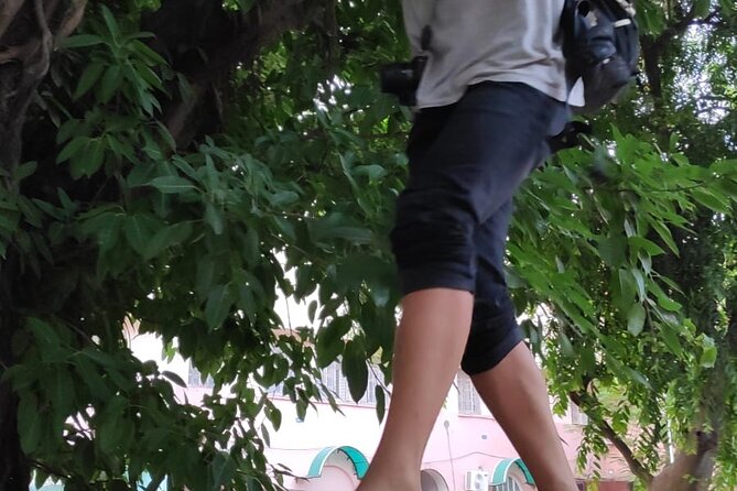 Art Attack: Explore Delhi's Artistic and Cultural Side - FAQ