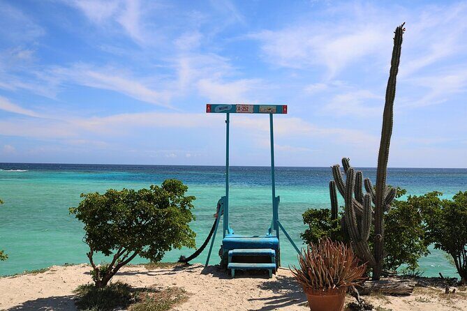Art, Beach and Culture Island Tour with Kini Kini - A Deep Dive into the Aruba Art, Beaches, and Culture Tour