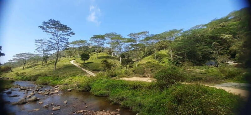 Art Lanka Knuckles Trekking - What to Expect on This Trek