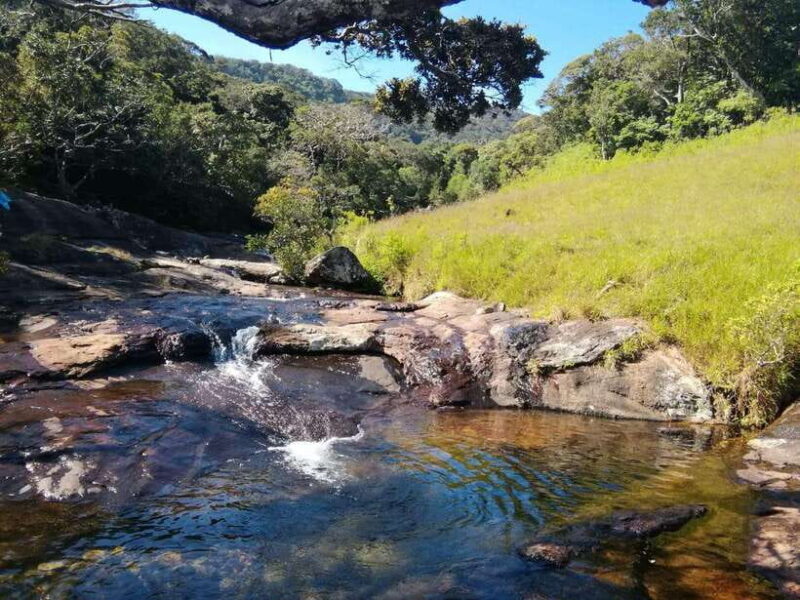 Art Lanka Knuckles Trekking - Who Will Love This Tour?