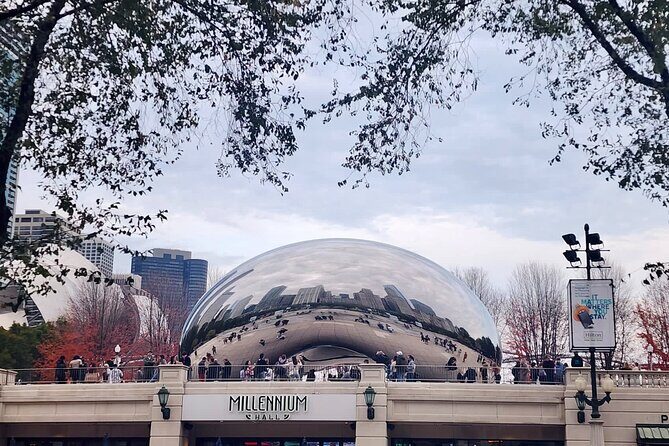 Art of a City Downtown Chicago Exclusive Guided Walking Tour - Who Will Love This Tour?
