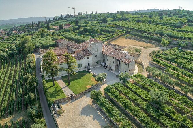 Art & Wine Experience in Valpolicella at Palazzo Montanari - Introduction