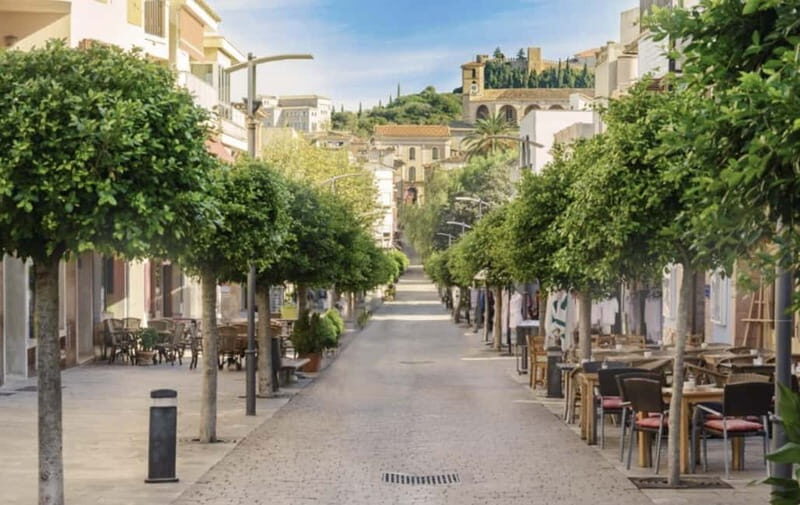 Arta Caves and Market Excursion - Analyzing Value: Is It Worth It?