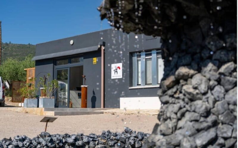 Arte-Contemporary: Sculpture Park and Art Gallery visit - A Deep Dive into the Arte-Contemporary Experience