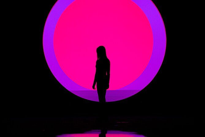 ARTE MUSEUM Immersive Media Art Exhibition in NYC - The Itinerary Breakdown