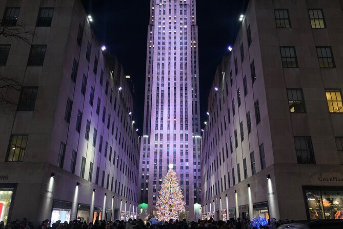 Artful Holiday Lights & Sights - What Travelers Are Saying