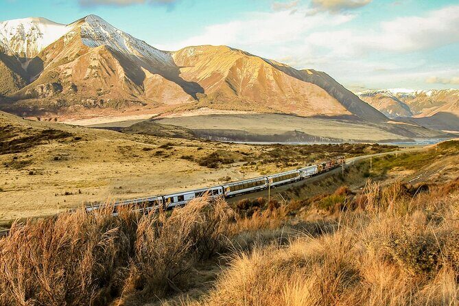 Arthur's Pass Discovery and TranzAlpine Train - Small Group Tour - Return to Christchurch