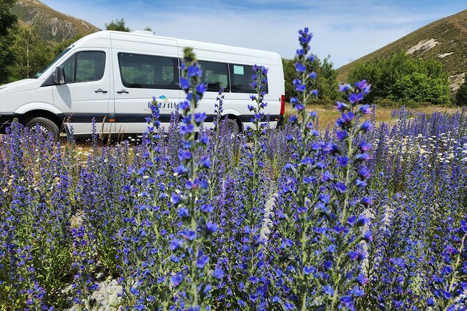 Arthurs Pass Tour From Christchurch With Jet Boat & TranzAlpine - The Itinerary in Detail: What You’ll Experience