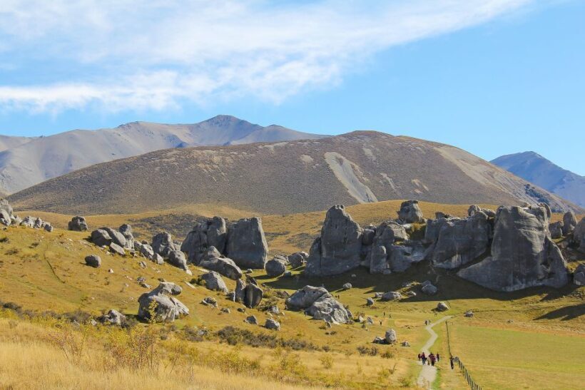 Arthur's Pass: TranzAlpine Train and Castle Hill Day Tour - Key Points