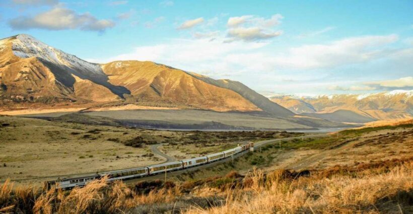 Arthur's Pass: TranzAlpine Train and Castle Hill Day Tour - Guide Expertise and Reviews