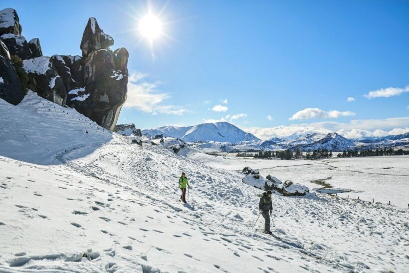 Arthur's Pass: TranzAlpine Train and Castle Hill Day Tour - Pricing and Value