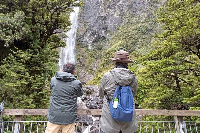 Arthurs Pass with Optional TranzAlpine Train - Key Points