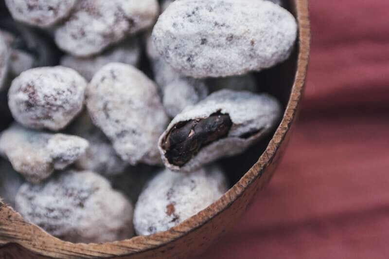 Artisanal Mexican Chocolate Tasting - A Closer Look at the Experience