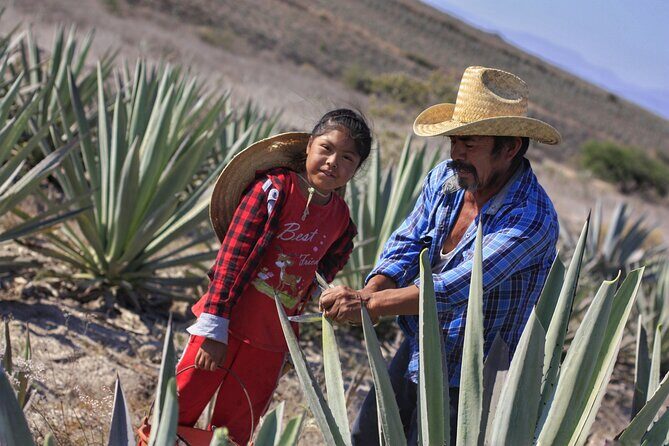 Artisanal Mezcal distillery in an authentic Zapotec village - Duration and Value