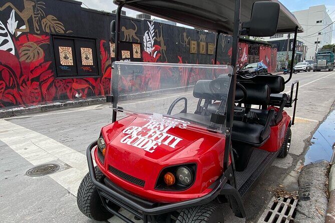 Artist Lead VIP Golf Cart Graffiti Tour - 2-5 ppl - Exploring the Wynwood Art District with a Golf Cart Graffiti Tour