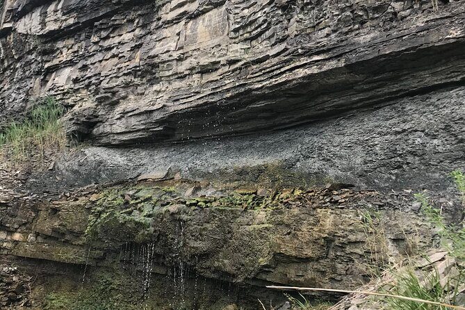 Artpark Guided Tour with Hiking and Climbing Experience - FAQ
