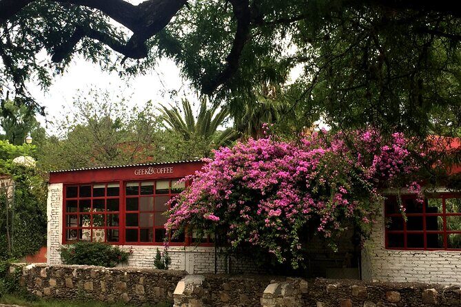 Arts and Snacks Walking Tour with Taste of San Miguel - FAQ