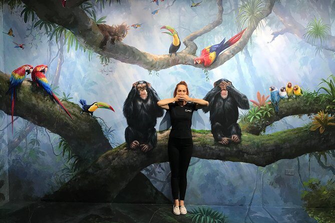 ArtVo Gold Coast  Queenslands First Trick Art Gallery - Who Will Love ArtVo Gold Coast?