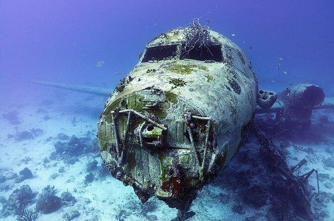 Aruba 1-Tank guided Dive for certified divers with rental equipment - Who Should Book This?