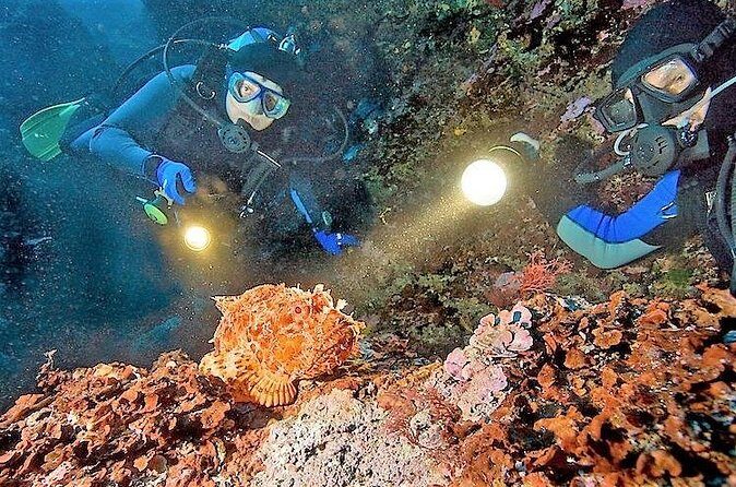 Aruba 1-Tank Night Dive for Certified Divers / rental Equipment - Authenticity and Experience