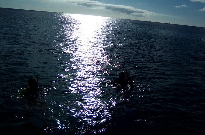 Aruba 1-Tank Night Dive for Certified Divers / rental Equipment - Price and Value